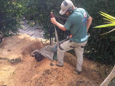 10 Reasons Why You Will Love The Alpine Magnum Stump Grinder